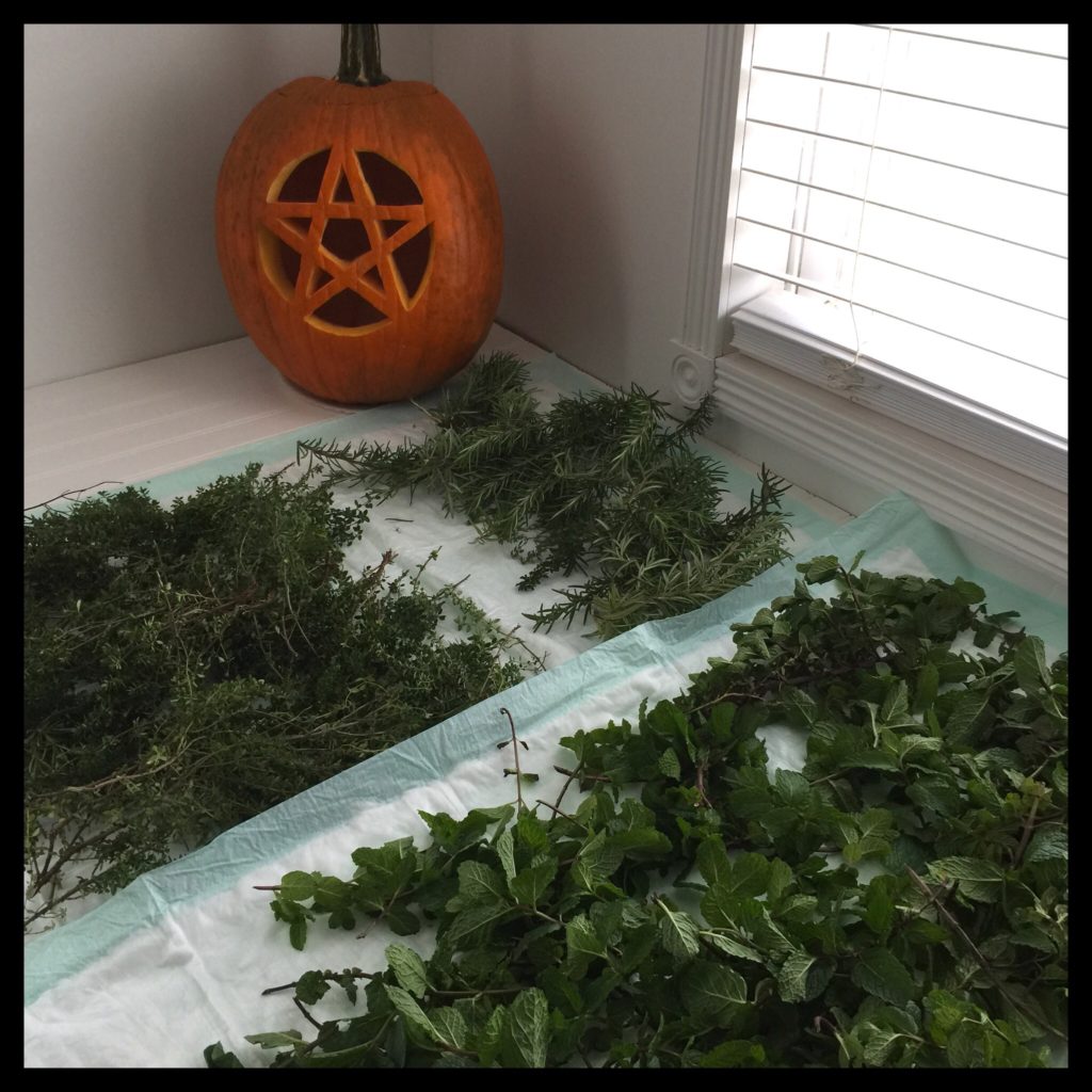 A Very Blessed (and Vegan) Samhain! – Vegan Kitchen Magick