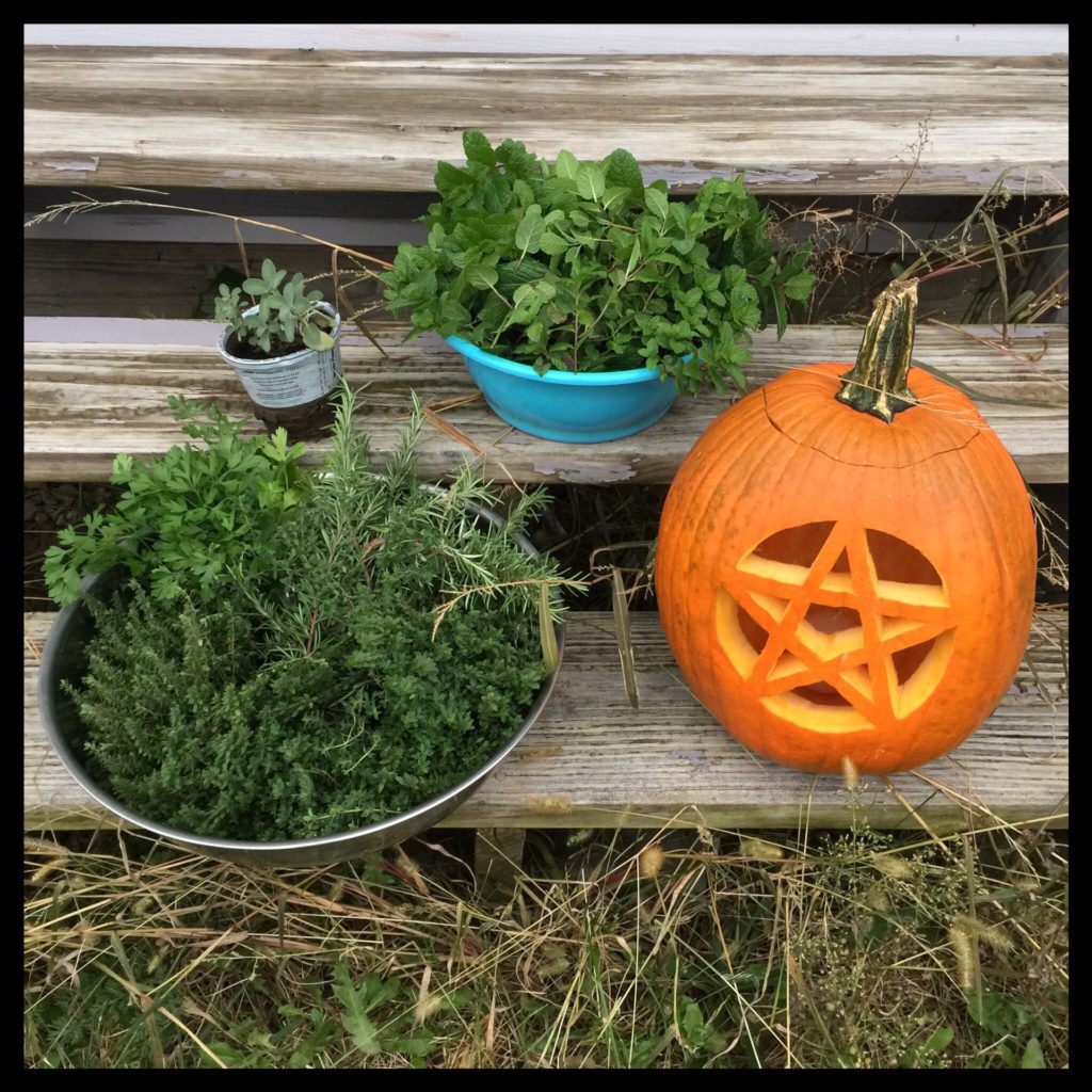 A Very Blessed (and Vegan) Samhain! – Vegan Kitchen Magick
