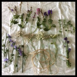 How to Make Sage Bundles for Smudging – Vegan Kitchen Magick