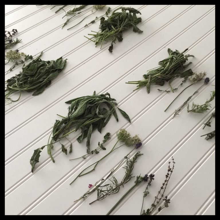 How to Make Sage Bundles for Smudging – Vegan Kitchen Magick
